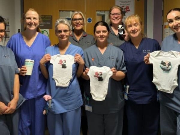 Wales Becomes First UK Nation to Unite Maternity Care Under a Single ...